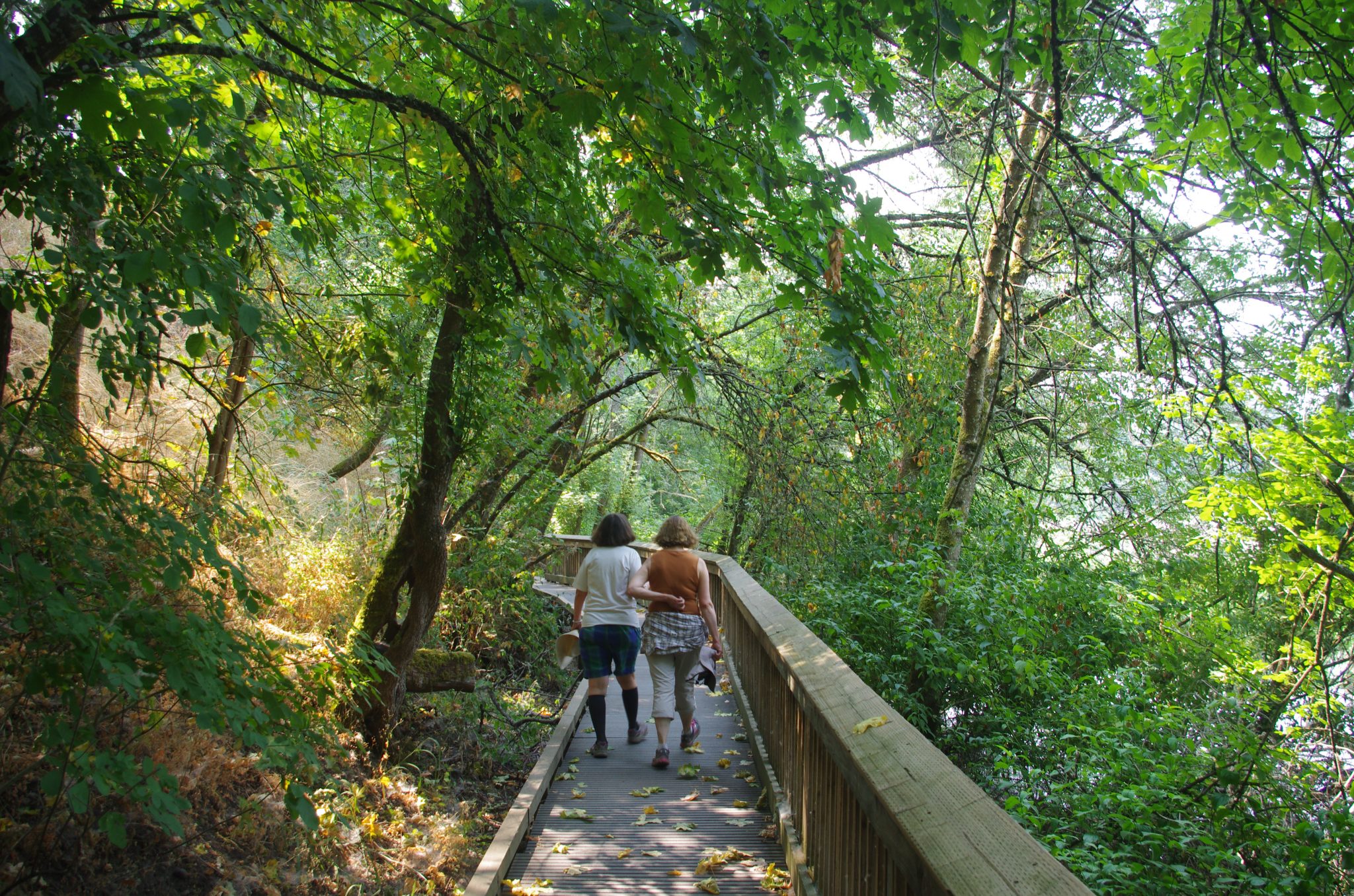 Online Resources for Oaks Bottom – Friends of Oaks Bottom